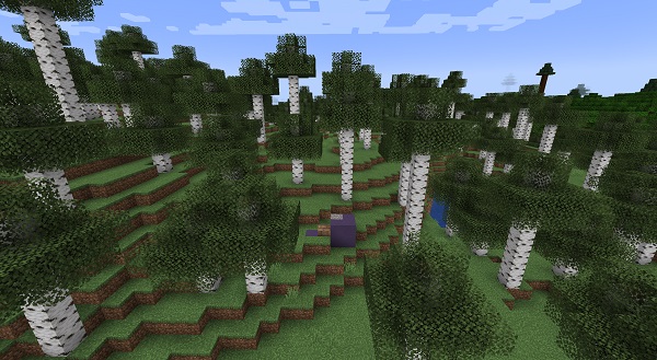 17 Best Trail Ruins Seeds in Minecraft 1.20